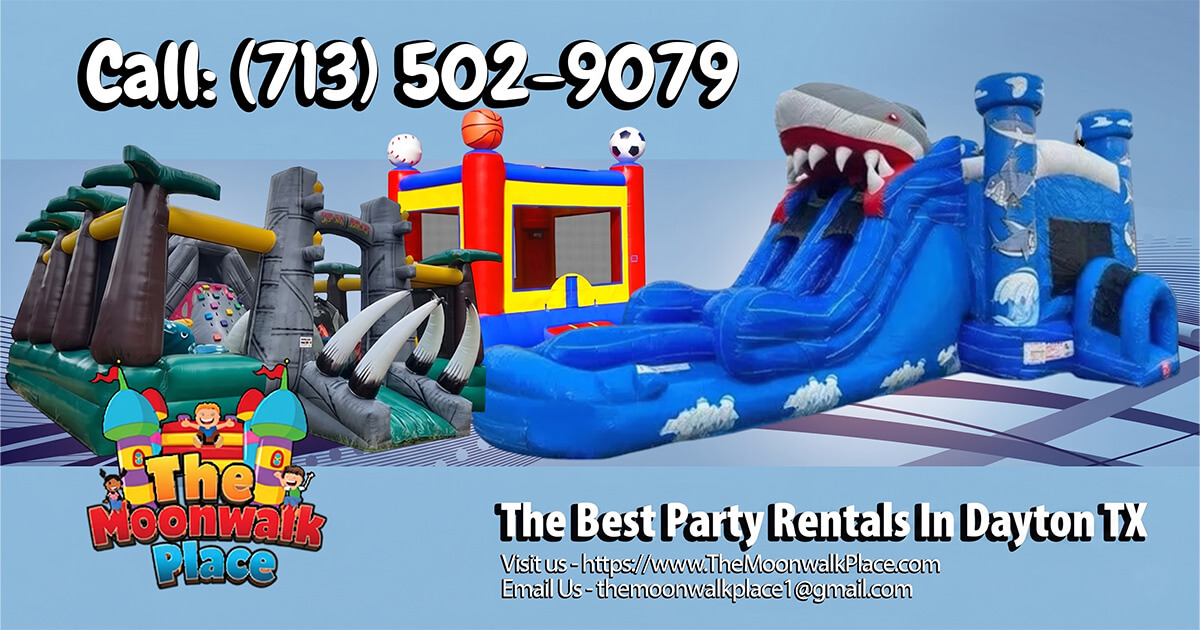 Ferris Wheel Bounce House